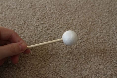 How To Make A Target Stick For Fish Training Amazing Animal Tricks