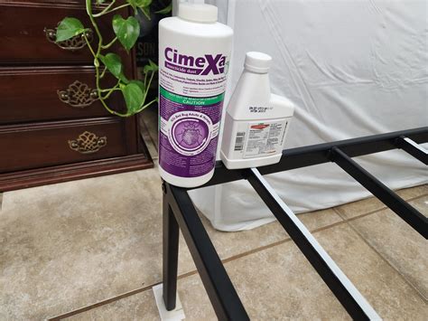 Behold The Bed Bug Setup Rbedbugs