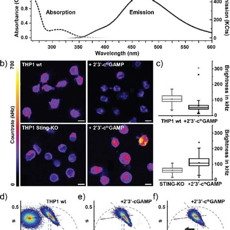 Binding To STING As Measured By ITC ITC Curves And Thermodynamic Download Scientific Diagram