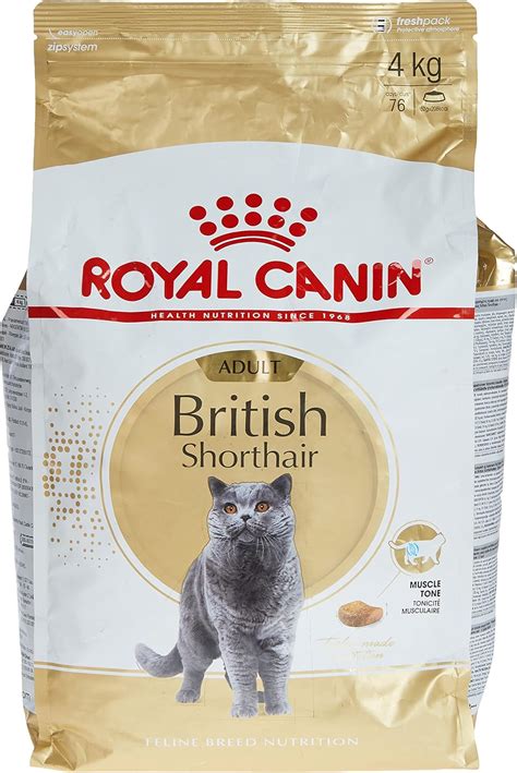 Royal Canin British ShortHair Adult Kedi Maması, 4 Kg : Amazon.com.tr ...