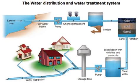 Water Distribution And Treatment System Water Term 3 Unit 2 6th Science
