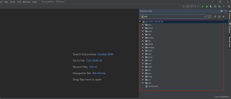 PyCharm连接远程服务器配置的全过程 阿里云开发者社区