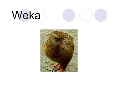 Pdf Weka University Of Colorado Boulder · Weka Provides Algorithms