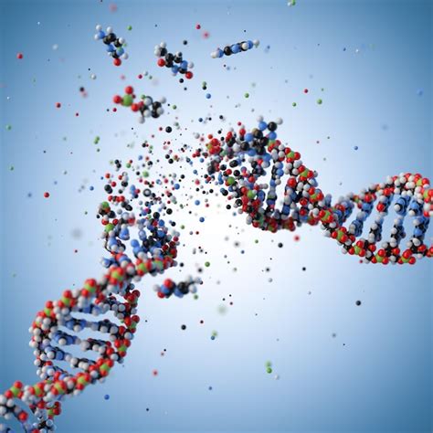 Premium Photo Molecular Structure Of Dna 3d Rendering