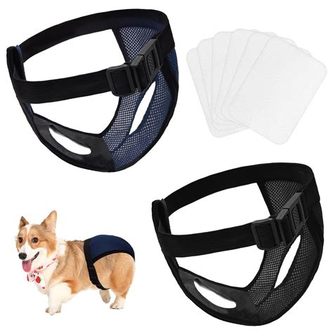 Female Dog Period Pants