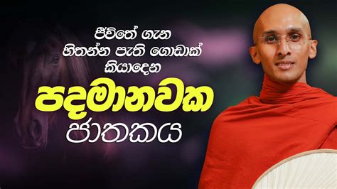 227 පදමානවක ජාතකය Padamanawaka Jathakaya 2024 01 09 Youtube