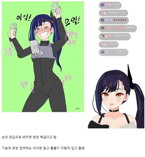 버튜버 릴파가 인정한 현실 본인 모습 개 유머 재미있는 동영상 웃긴 밈