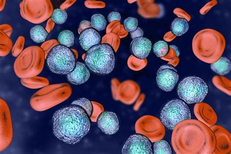 Scrna Seq Suggests A New Combination Therapy Recruits Stem Cell Populations Favorable For