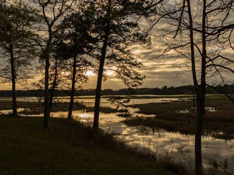 Tangipahoa Parish Profile Gno Inc