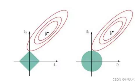 Matlab算法实战应用案例精讲 【回归算法】套索回归（lasso）附python和r语言代码matlab Lasso算法 Csdn博客