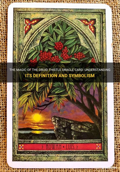 The Magic Of The Druid Thistle Oracle Card Understanding Its Definition And Symbolism Shunspirit The Magic Of The Druid Thistle Oracle Card Understanding Its Definition And Symbolism Shunspirit