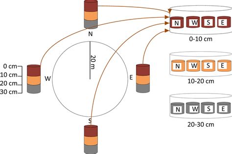 Soil Sample Collection From A Sample Plot Each Composite Sample Download Scientific Diagram