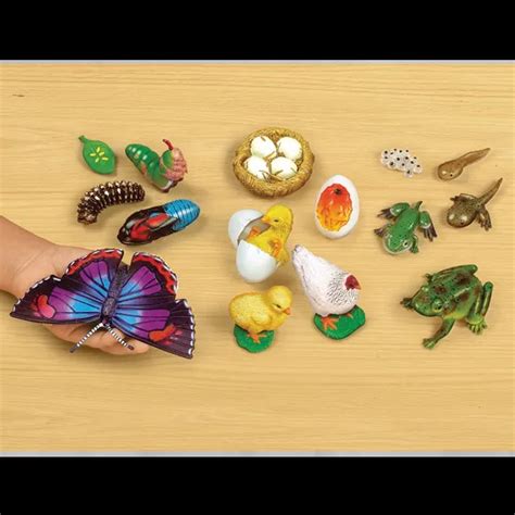 Life Cycle Sequencing Kit