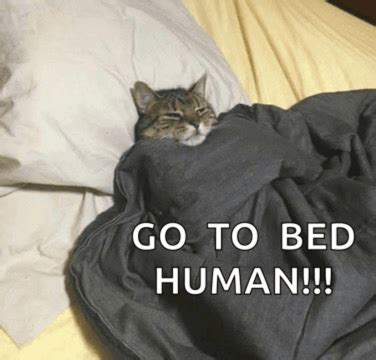 Bedtime S Tenor