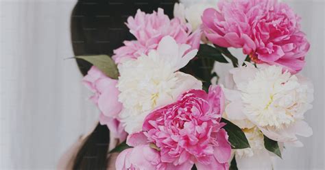 흰색 천의 배경에 모란 꽃다발을 들고 있는 린넨 드레스를 입은 세련된 여성 느린 삶 작은 행복한 것들 분홍색과 흰색 모란으로 얼굴을 숨기는 보헤미안 소박한 드레스를