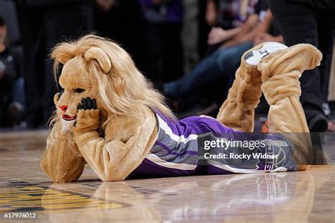 Mascot Slamson Fotografías E Imágenes De Stock Getty Images