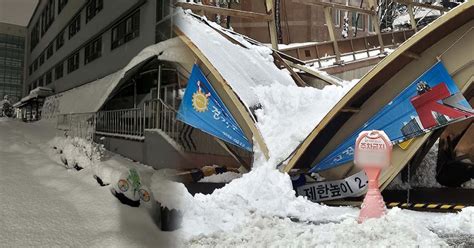 무게 못 견디고 폭삭3배 무거운 습설이 원인