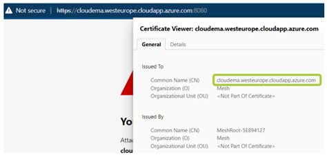Intel® Endpoint Management Assistant Intel® Ema Issues Getting Cira