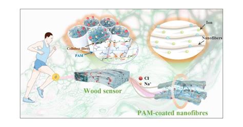 Wood Cell Wall Nanoengineering Toward Anisotropic Strong And Flexible Cellulosic Hydrogel