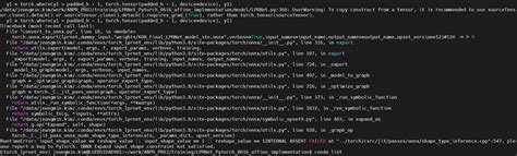 Pytorch Onnx Problem · Issue 3825 · Onnxonnx · Github