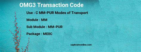 OMG3 SAP Tcode For C MM PUR Modes Of Transport