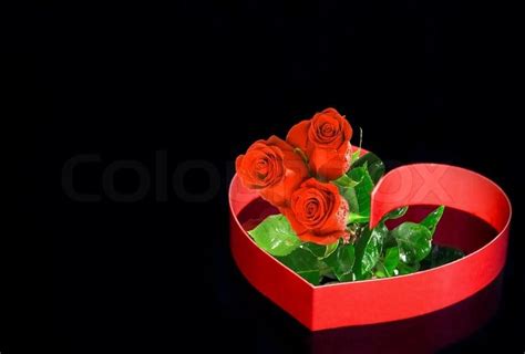 සිහින විමන ලා සද මෝදු වූ නිශායම පුරාවටම ලය මත සතපවා උනුහුමෙහි සිත හොවා සෙනෙහස තැවරූ මතකය හැම