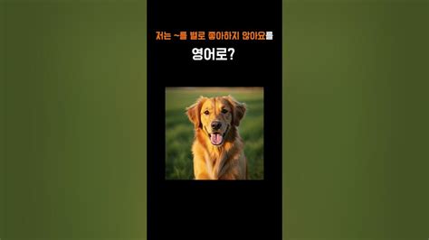 저는 ~를 별로 좋아하지 않아요 를 영어로 영어회화 영어공부 영어 Englishspeaking Youtube