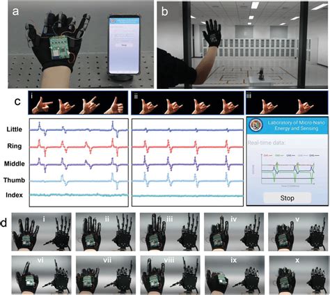 Real‐time Interactive Gesture Demonstration A Photograph Of Download Scientific Diagram