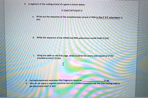 solved segment of the coding strand of a gene shown below 5