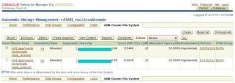 Oracle Asm Cluster File Systems Acfs In Oracle Database 11g Release 2