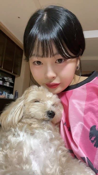 강아지가 왜이리 얌전해 Youtube