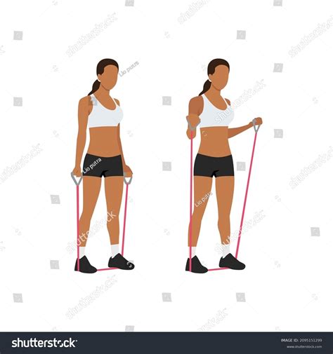 52 Bicep Curl Band Stock Vectors And Vector Art Shutterstock