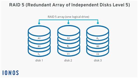 What Function Does RAID Perform Darwin S Data