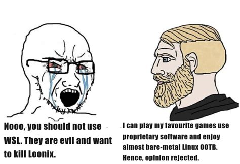 You Shouldnt Use Wsl It Is Evil S Rlinuxsucks