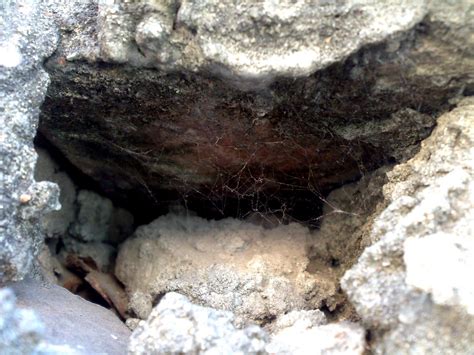spider web in the hole of the wall unexplained mysteries image gallery