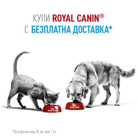 Скъпи приятели Във Ветеринарен Кабинет Д р Карафизиев