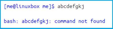 Linux Shell What You Need To Know At First Diskinternals