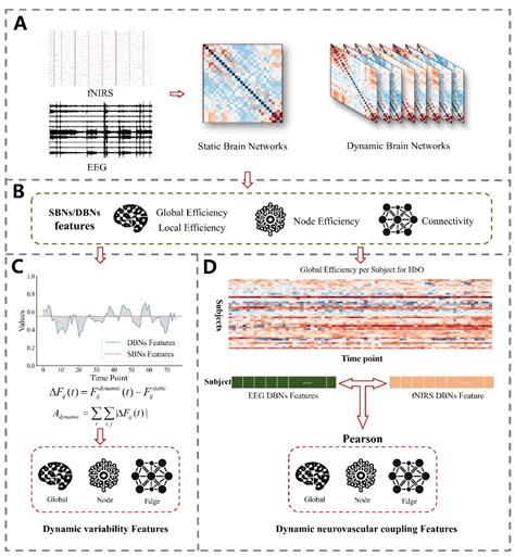 【研究进展】基于eeg Fnirs分析裸眼3d视觉训练对近视患者视功能影响的神经血管机制研究 课题组新闻 华南理工大学医学信息与神经影像实验室