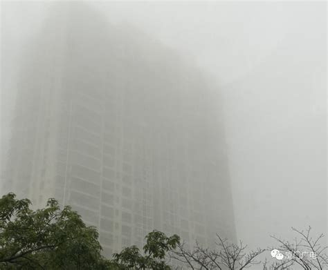 停航浓雾警报接下来的天气将 澎湃号政务 澎湃新闻 The Paper