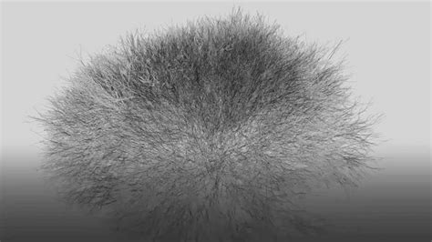 infinite trees generative 3d system opengl generative art generative tree