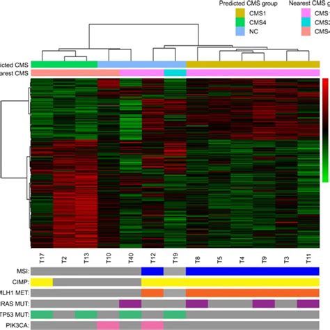 Heatmap And 2 Way Hierarchical Clustering Kendal Distance Wardd Download Scientific Diagram