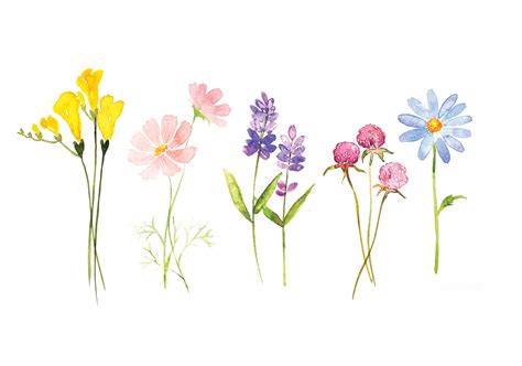 Class101 이명선의 스케치 없이 쉽게 그리는 수채화 일러스트