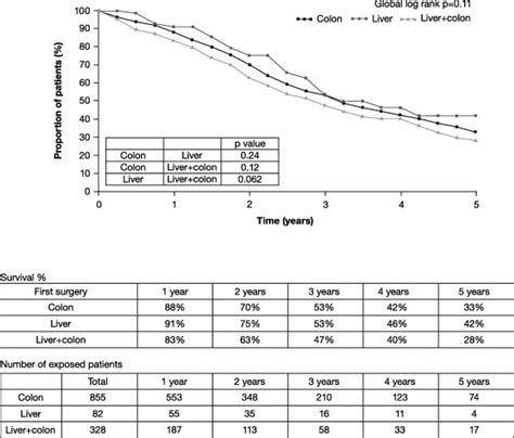 Survival Following Liver Resection For Synchronous Unresectable Download Scientific Diagram