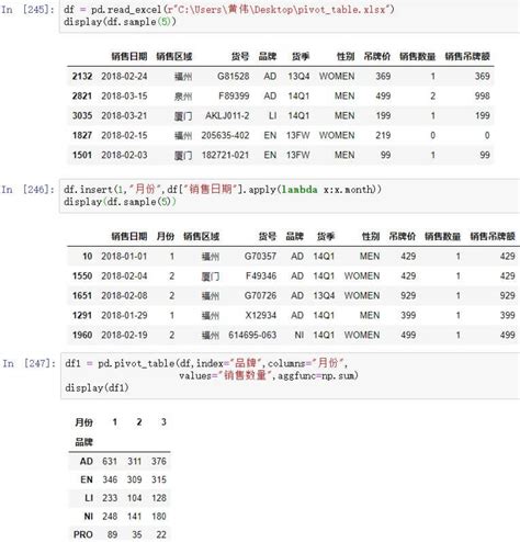 对比excel数据透视表，学习pandas Pivottable Python 实用宝典