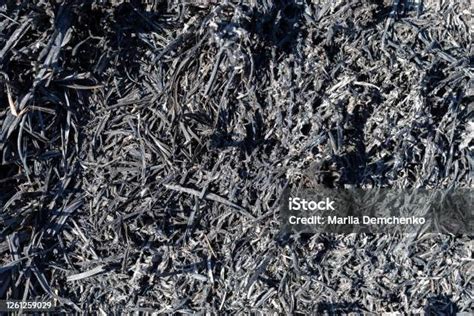 불에 탄 풀과 검은 가지의 식물로 불을 붙인 후 글레이드 자연의 방치 산불 배경 0명에 대한 스톡 사진 및 기타 이미지 0명 갈색 건조한 Istock