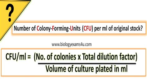 How To Calculate Cfu Per Ml Of A Bacterial Sample In Simple 3 Steps