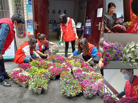 杂物换鲜花 扮靓老阳台 北社区 西坝街道 居民