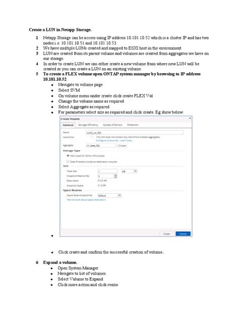 Create A Lun In Netapp Storage Pdf System Software Computer