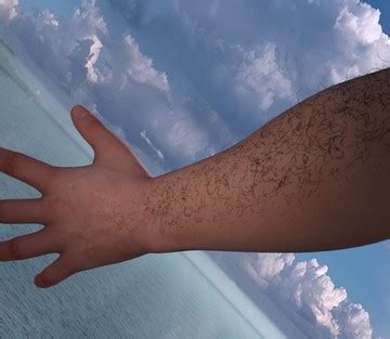 Afterlife Muses Sex And Porn Comics