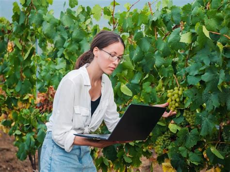 Как определить некачественный алкоголь в магазине 5 главных уловок о которых вы не знали